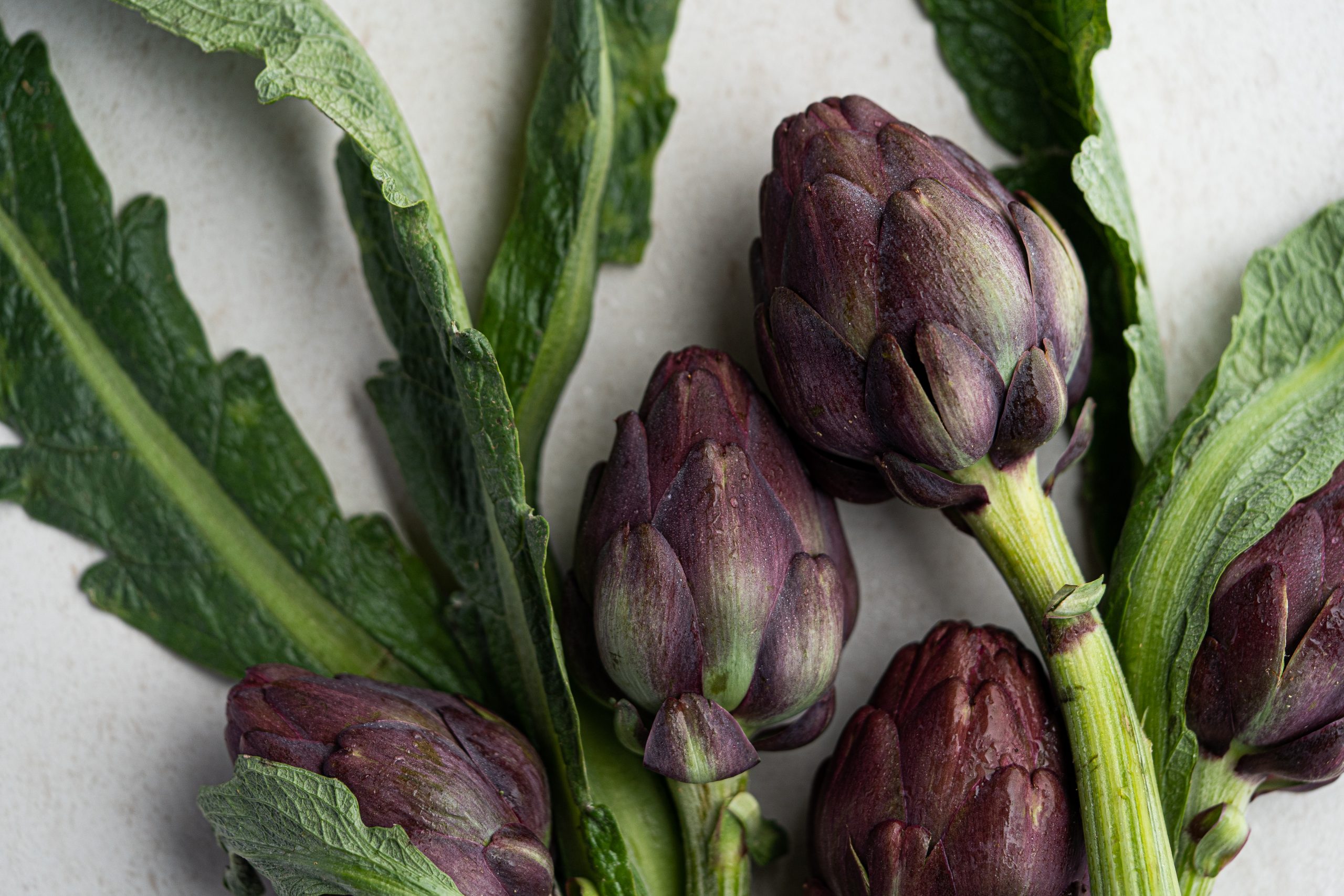 Provenance | Local Ingredients | Lady Helen